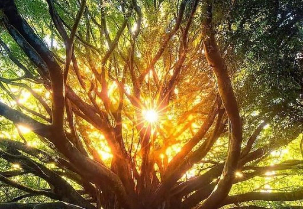 | Unity of Des Moines